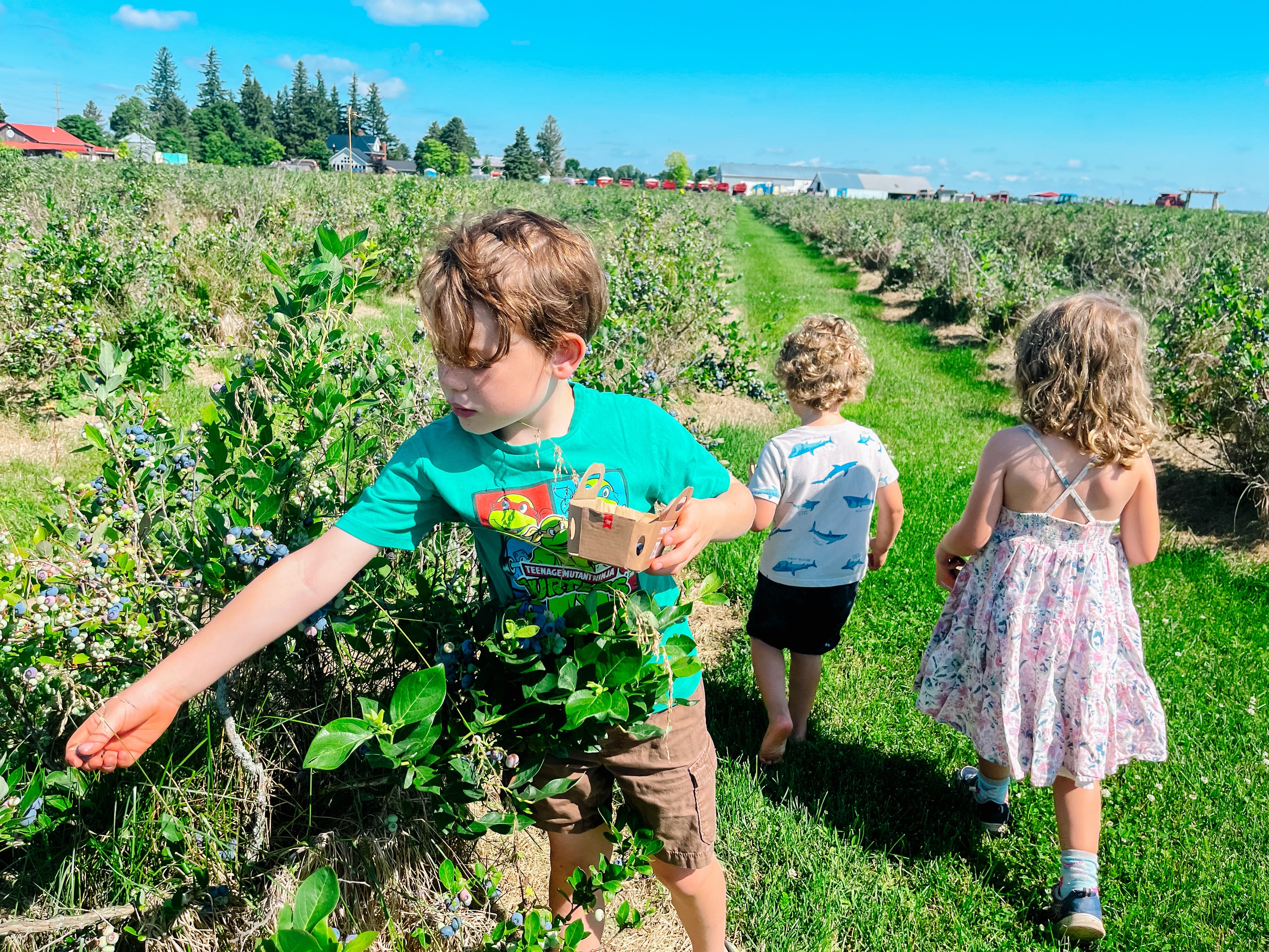 Murphy's Farm Market and Bakery – Murphy's Farm Market and Bakery