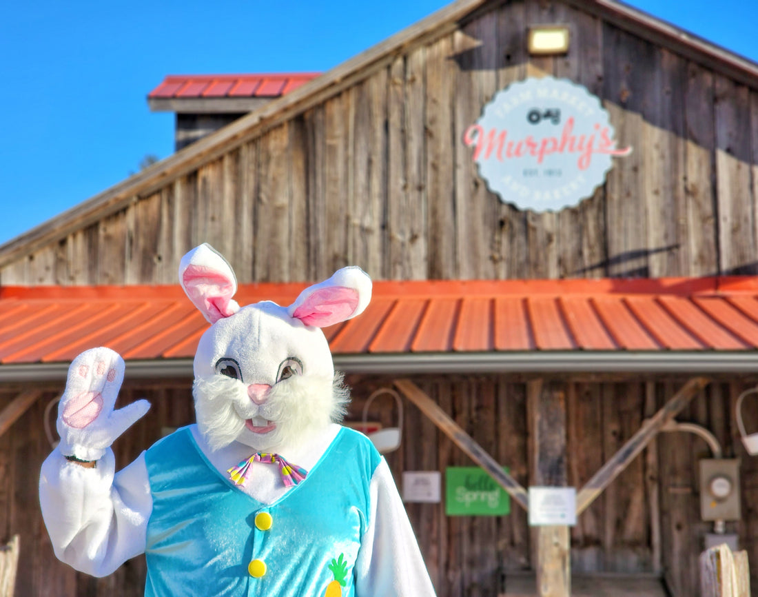 Murphy's Farm Market and Bakery – Murphy's Farm Market and Bakery